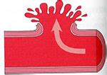 Medical Terminology Chapter Part Flashcards Quizlet