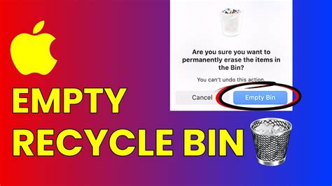 How To Empty Recycle Bin On Macbook Pro At Lawrence Melson Blog