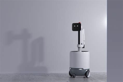 How Robots Are Expanding Their Fields Of Work By Attaining Emotional