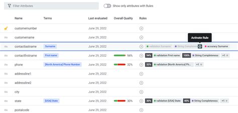 Add Dq Rules To Attributes Ataccama One
