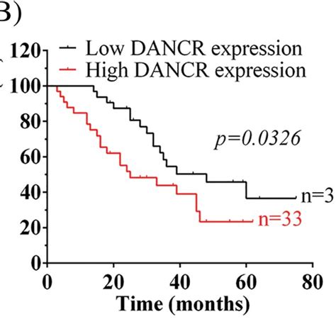 Lncrna Dancr Was Up‐regulated In Ovarian Cancer A Expression Of