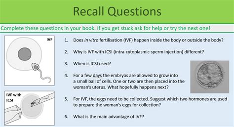 Controlling Fertility Lesson Gcse Biology Teaching Resources