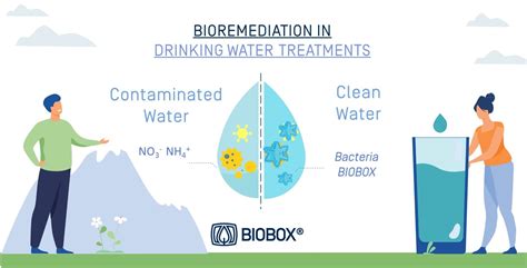 Bioremediation In Drinking Water Treatments Biobox