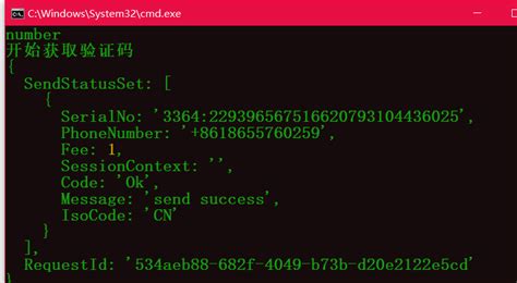 基于腾讯云短信接口和nodejs服务器实现手机号验证码 朱龙旭的网络 博客园