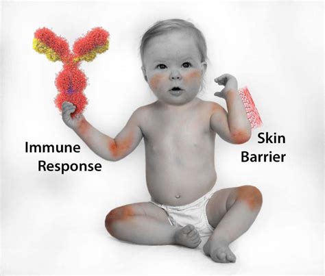 Mycophenolate Semantic Scholar