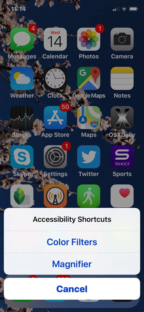 How To Set Use The Accessibility Shortcut On IPhone And IPad