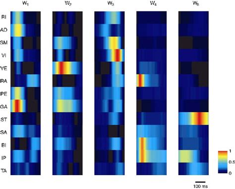 Time Varying Muscle Synergies Extracted From Jumping Swimming And