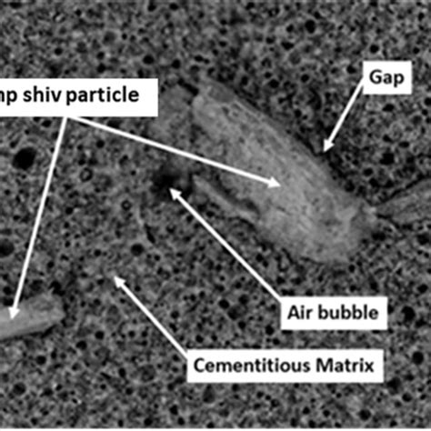 A Overview Of The Pore Structure Of The Bfc Material B Interface