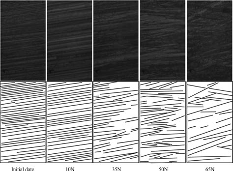 Surface Texture Under Different Grinding Pressures Download