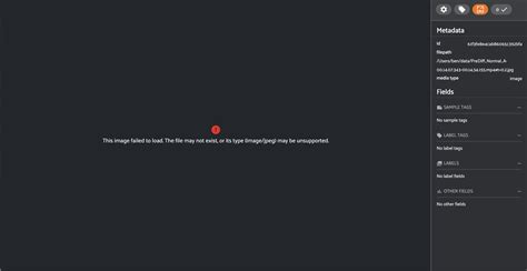Bug App Fails To Load Media Filepaths That Need Encoding · Issue