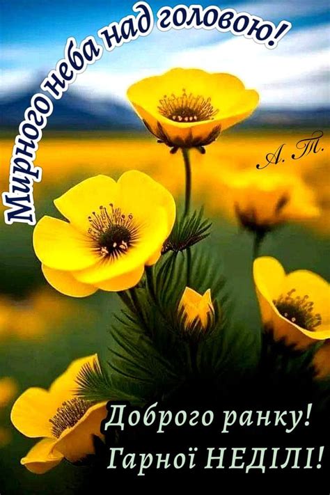 Pin Di Hanna Su доброе утро Immagini