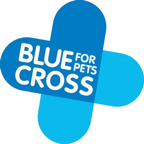 Home ST Stead Vets