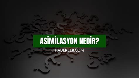 Asimilasyon Nedir Asimilasyon Politikası Ne Demek Etkileri Neler