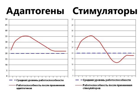 Что такое адаптогены - какие бывают и польза для организма