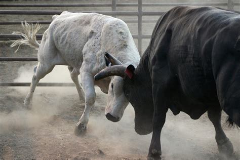 bullmq — message queue in node js by marudhu pandiyan g medium