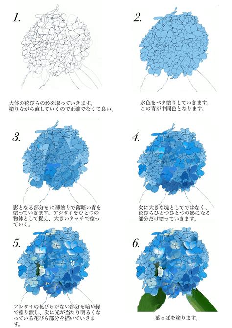 さくしゃ2 On X 花 描き方 花のスケッチ 紫陽花 イラスト