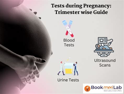 Tests During Pregnancy Trimester Wise Complete Guide