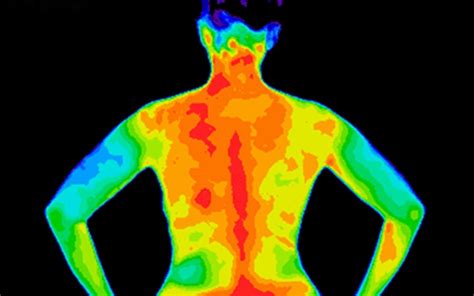Why Do We Feel Hot At Degrees Despite It Being Normal Body Temperature