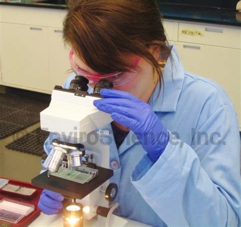 Specialized Toxicity Testing EnviroScience Inc EnviroScience