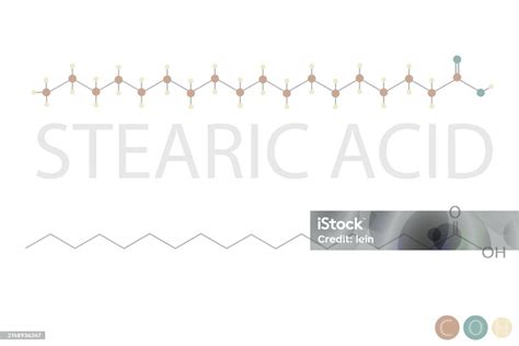 Stearic Acid Molecular Skeletal Chemical Formula Stock Illustration