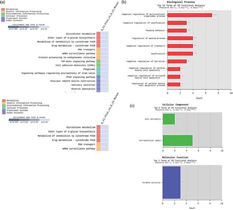 The Gene Ontology Analysis Was Performed Using David Bioinformatic