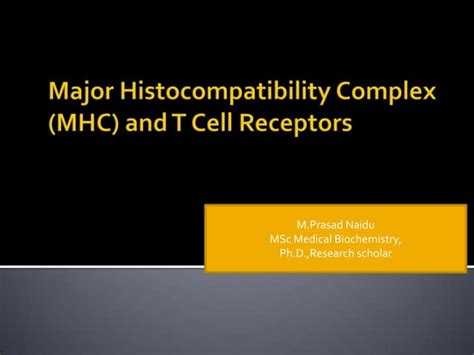 Mhc And Tcr Ppt