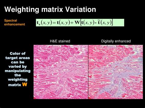 PPT A Multispectral Image Enhancement Approach To Visualize Tissue Structures PowerPoint