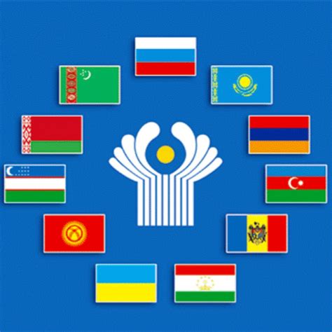 Мигранты Новости Сегодня Youtube