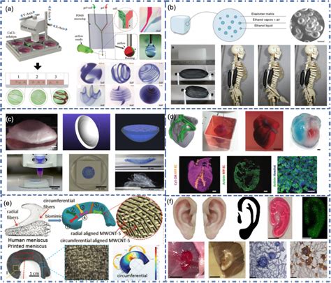 3d Printing Biomimetic Materials And Structures For Biomedical Applications Bio Design And