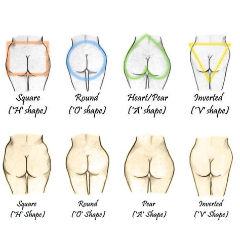 Entry 42 By ArtistGeek For Please ILLUSTRATE The BOOTYS ALL SHAPES