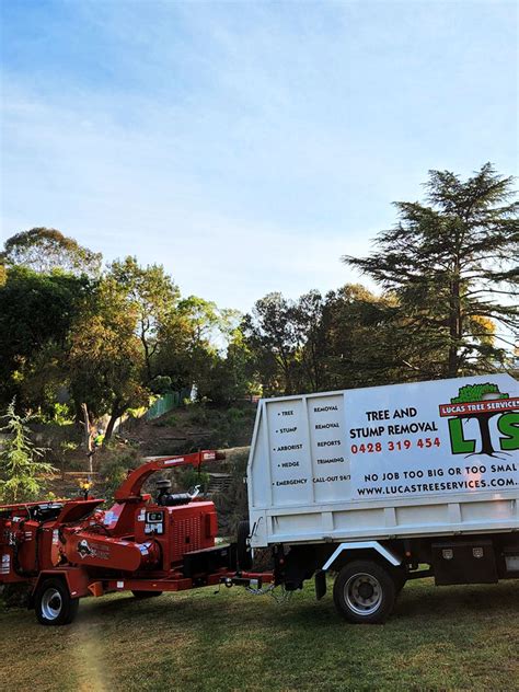 Tree Removal Lucas Tree Services