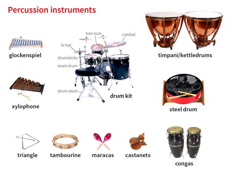 Percussion Noun Definition Pictures Pronunciation And Usage Notes