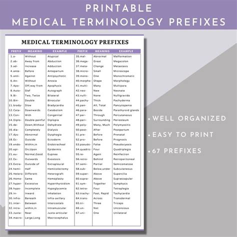 Medical Terminology Flashcards Medical Terminology Prefixes And