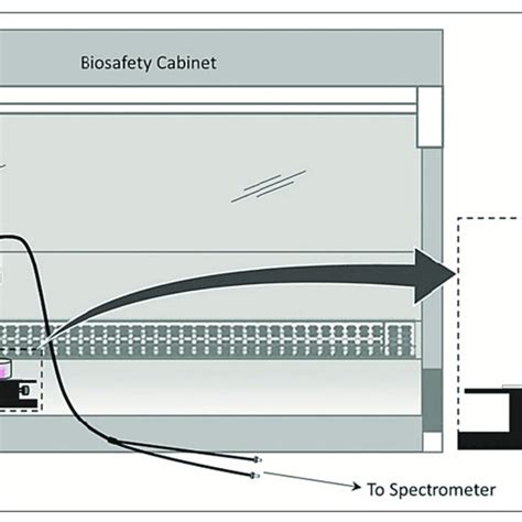 Schematic Of The Application Of Nir Fiber Optic Spectroscopy For Download Scientific Diagram