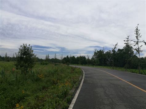 2023青杠树景区游玩攻略 吃饭和喝茶都在进门那一个区 去哪儿攻略