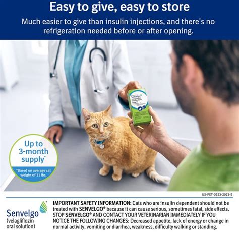 Senvelgo Velagliflozin Oral Solution Oral Hypoglycemic For Cats 15
