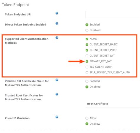 Client Authentication Using Private Key Jwt Method Authlete