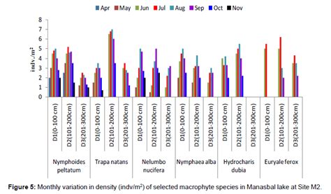 Distribution Pattern Of Rooted Floating Leaf Type Macrophytes In