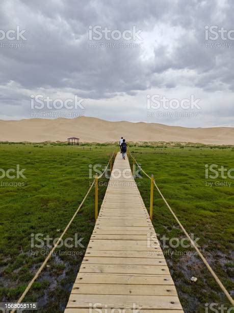 시골 야외 환경에서 얇은 나무 판자 길을 따라 걷는 사람들 걷기에 대한 스톡 사진 및 기타 이미지 걷기 경관 나무 Istock