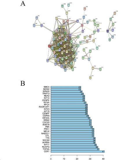 Ppi Network Analysis A Using The String Online Database A Total Of