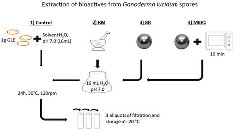Extraction Process Of Bioactive Molecules Gle Ganoderma Lucidum Download Scientific Diagram