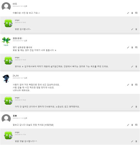경주벚꽃 숨은 벚꽃 명소 영지설화공원 호수 옆 벚꽃 터널~ Onpckr 온피씨