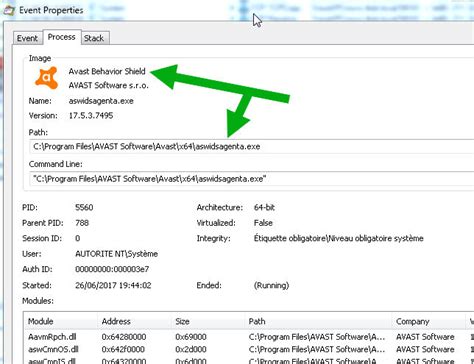 Avast Software Analyzer что это