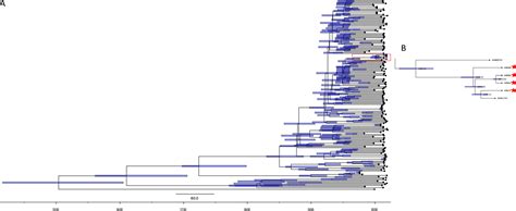 An Emerging Lineage Of Uropathogenic Extended Spectrum β Lactamase Escherichia Coli St127