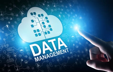 What Is Data Management Importance And Examples