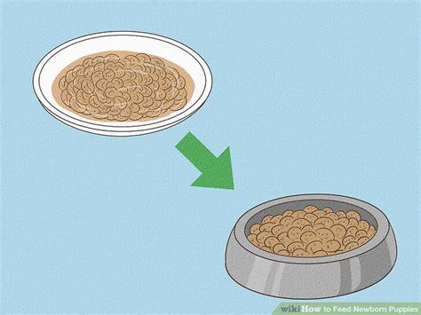 How To Feed Newborn Puppies 11 Steps With Pictures Wikihow