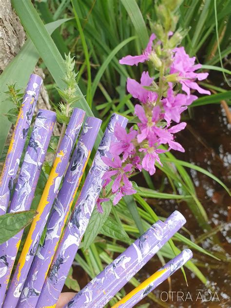 Otra āda Otra āda Added A New Photo