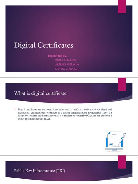 Digital Certificates Pdf Public Key Certificate Public Key