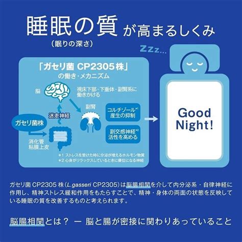 アサヒ カルピス 届く強さの乳酸菌 W 100ml ペットボトル 30本入 〔乳性飲料〕 4901340241824いわゆるソフトドリンク