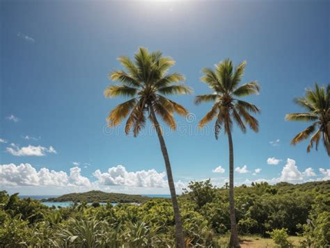 Getaway To The French Caribbean Archipelago Guadeloupe Stock